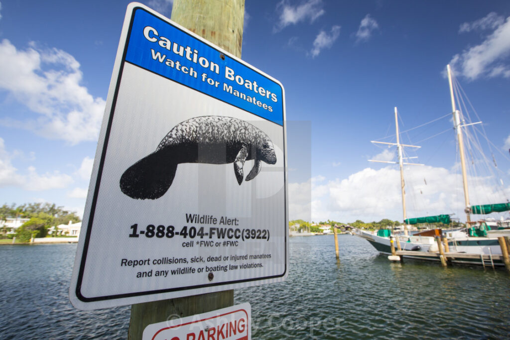 Boating in Manatee Zone - USA Onboard